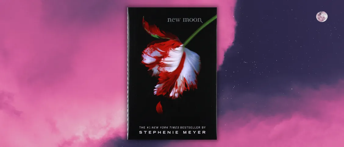 New Moon PDF Free Download