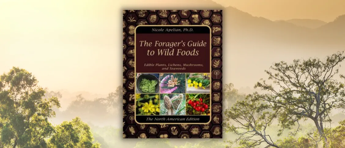 The Forager's Guide to Wild Foods PDF Free Download