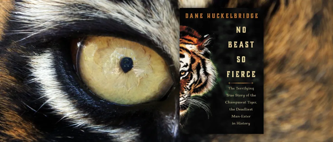 No Beast So Fierce PDF Free Download