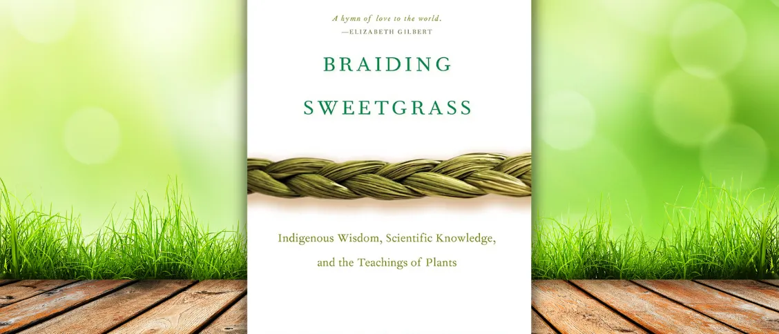 Braiding Sweetgrass PDF Free Download